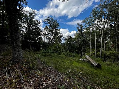 0 Ellison Ridge Rd, Jumping Branch, WV 25969 | Zillow