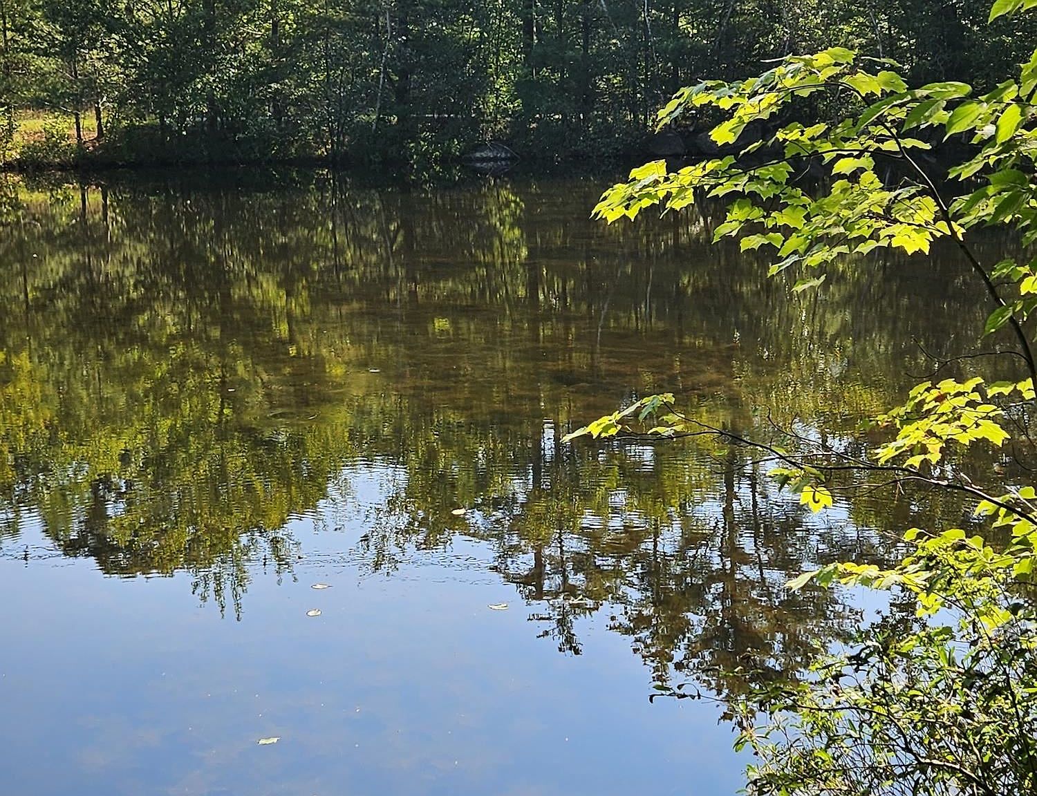 0 Auclair Rd, Union, NH 03887 | Zillow