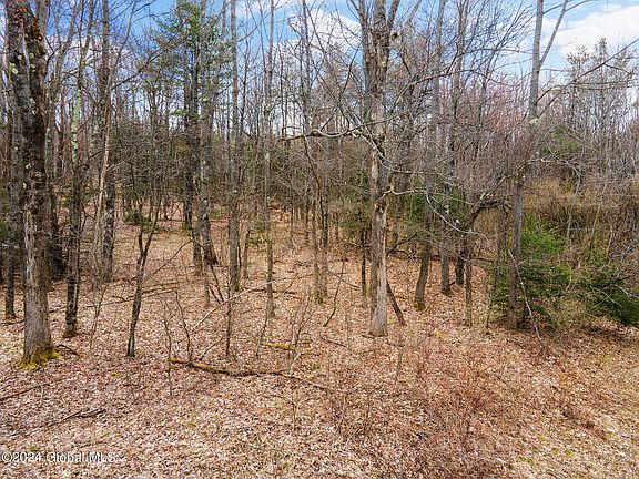 L1 Fulton Hill Road, West Fulton, NY 12194 | Zillow