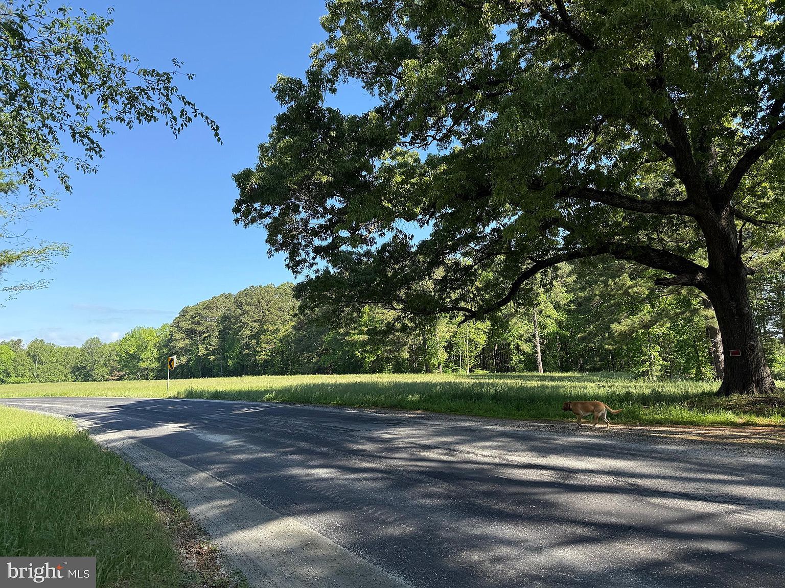 Craig Mill Rd, South Hill, VA 23970 | Zillow