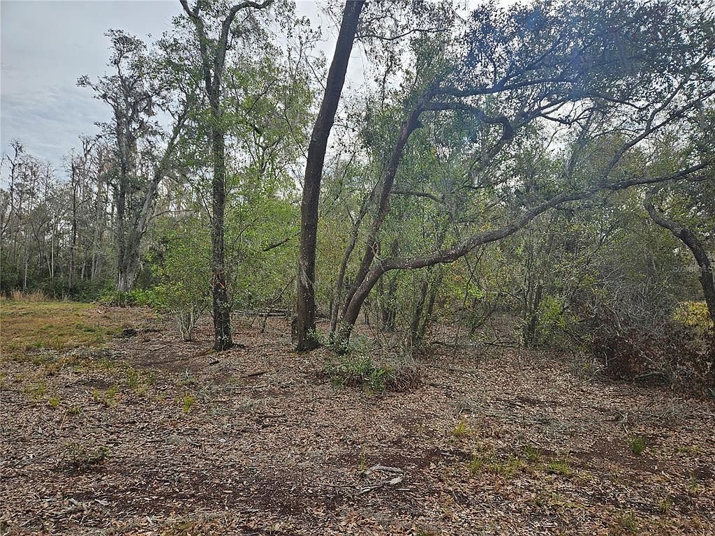 Candis Rd, Plant City, FL 33565 | MLS #TB8335000 | Zillow