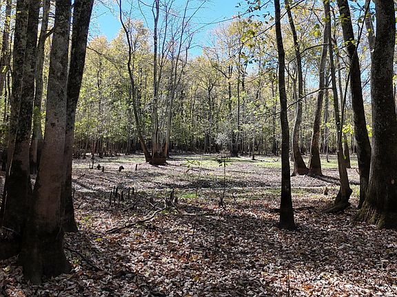 Forty Mile Bend Rd, Minter City, MS 38944 | MLS #4064594 | Zillow