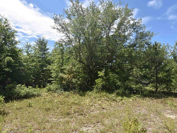 181 Buckboard Rd, Wagener, SC 29164 | MLS #586177 | Zillow