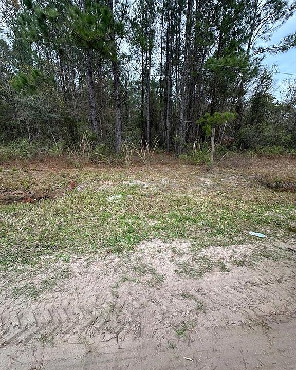 Florence St, Hastings, FL 32145 | Zillow