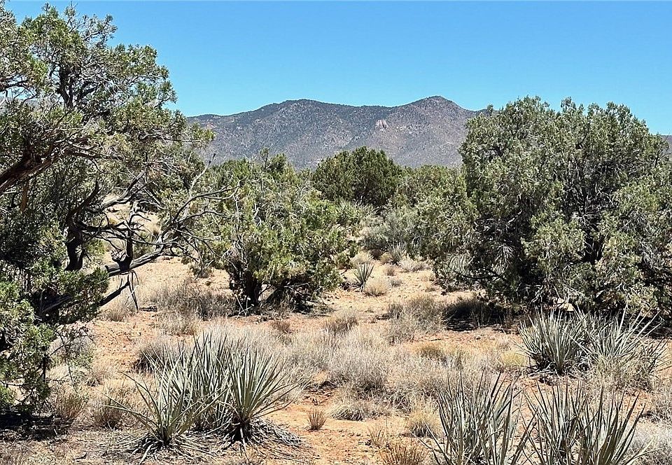 27 E Catclaw Cir, Hackberry, AZ 86411 | MLS #015991 | Zillow