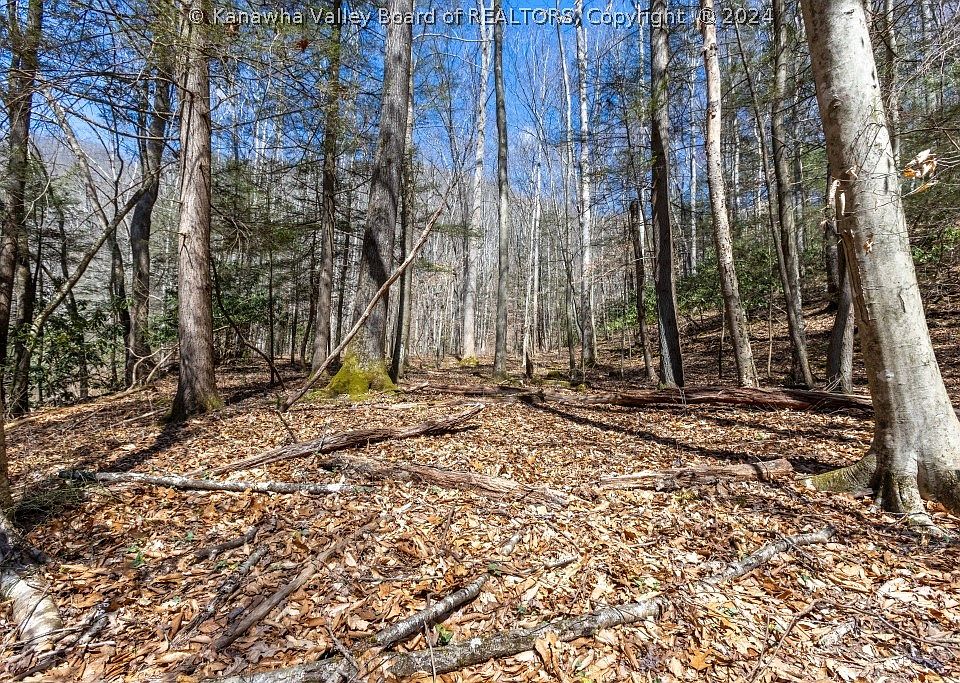 18196 Sycamore Creek Rd, Indore, WV 25111 | Zillow