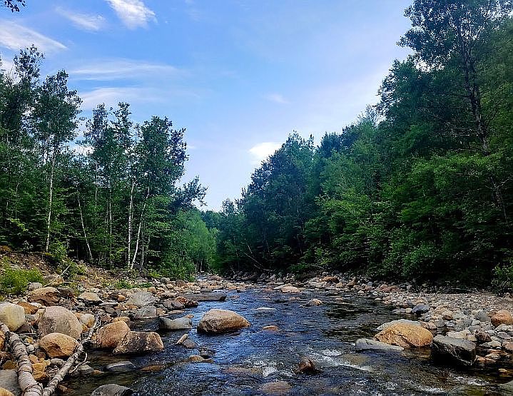 Bungy Rd, Columbia, NH 03576 | Zillow
