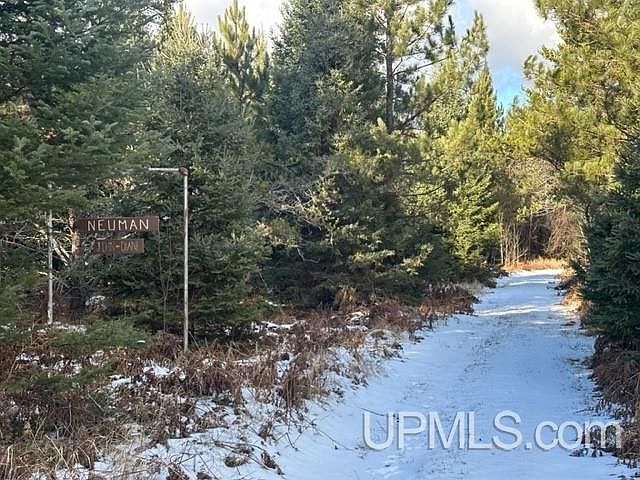 4100 S Casey Lake Rd, Ishpeming, MI 49849 | Zillow