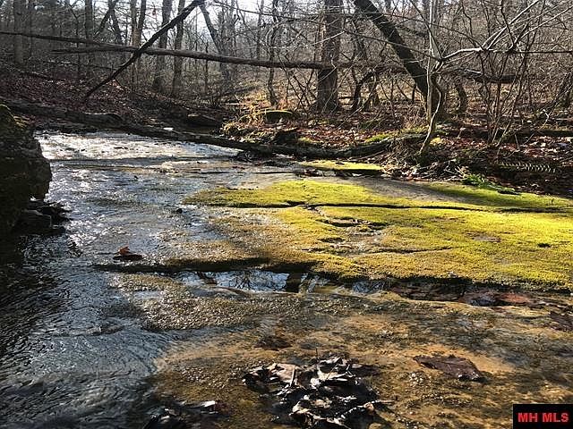 430 Zone Ridge Ln, Yellville, AR 72687 | MLS #131310 | Zillow