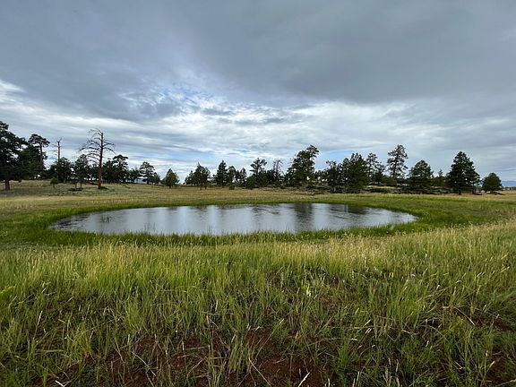 Forest Dr #9483F, Mormon Lake, AZ 86038 | MLS #11236923 | Zillow