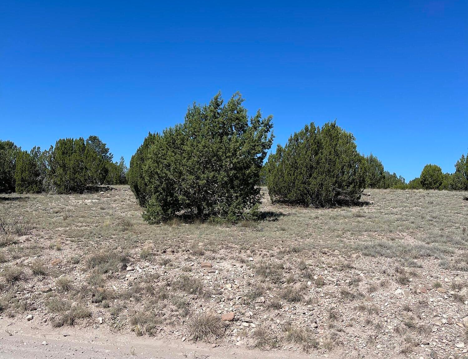Ls43/31 36 N Anvil Rock Rd, Seligman, AZ 86337 | Zillow