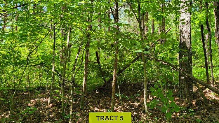 4000 Hazel Patch Rd, London, KY 40741 | Zillow