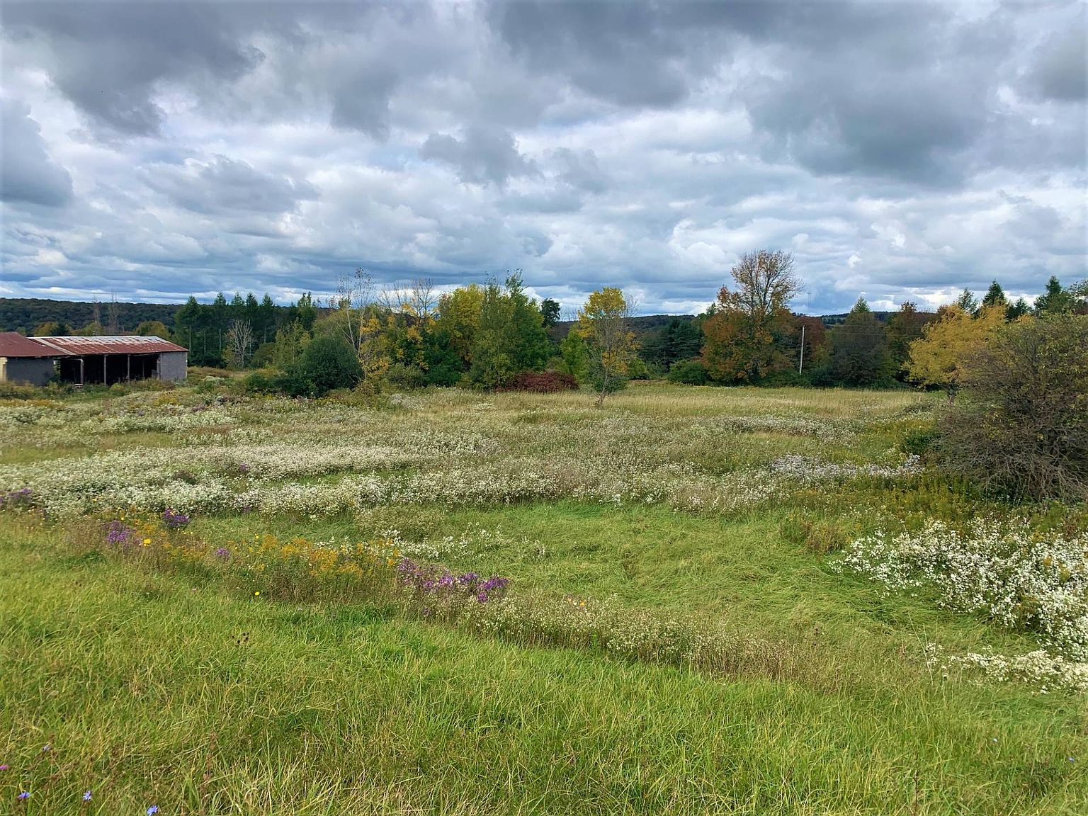 Fairview Road & State Rte #243, Farmersville Station, NY 14060 | MLS ...