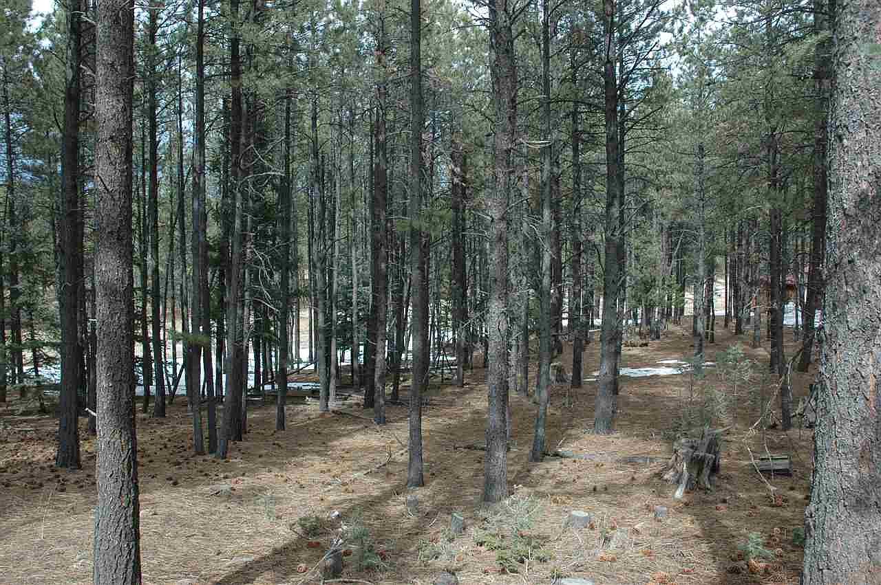 610 Via Del Rey, Angel Fire, NM 87710 | MLS #104930 | Zillow