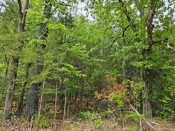 202-G East Rd #1920, Rattan, OK 74562 | MLS #11276412 | Zillow