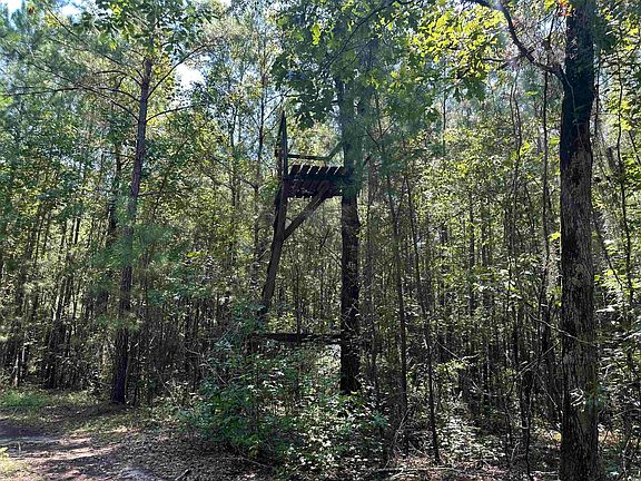 TBD Suttons Rd., Andrews, SC 29510 | MLS #2424682 | Zillow