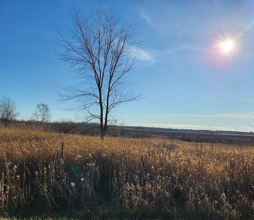 HOMESTEAD ROAD LOT NW1/4 SE1/4 + NE1/4, Conrath, WI 54731 | MLS ...