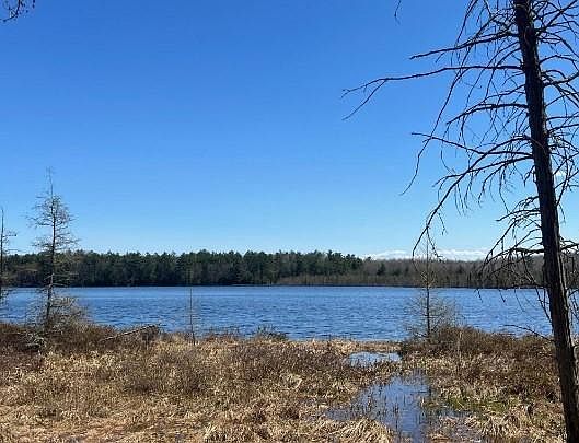 6174 Bass Lake Road, Webster, WI 54893 | MLS #1579946 | Zillow