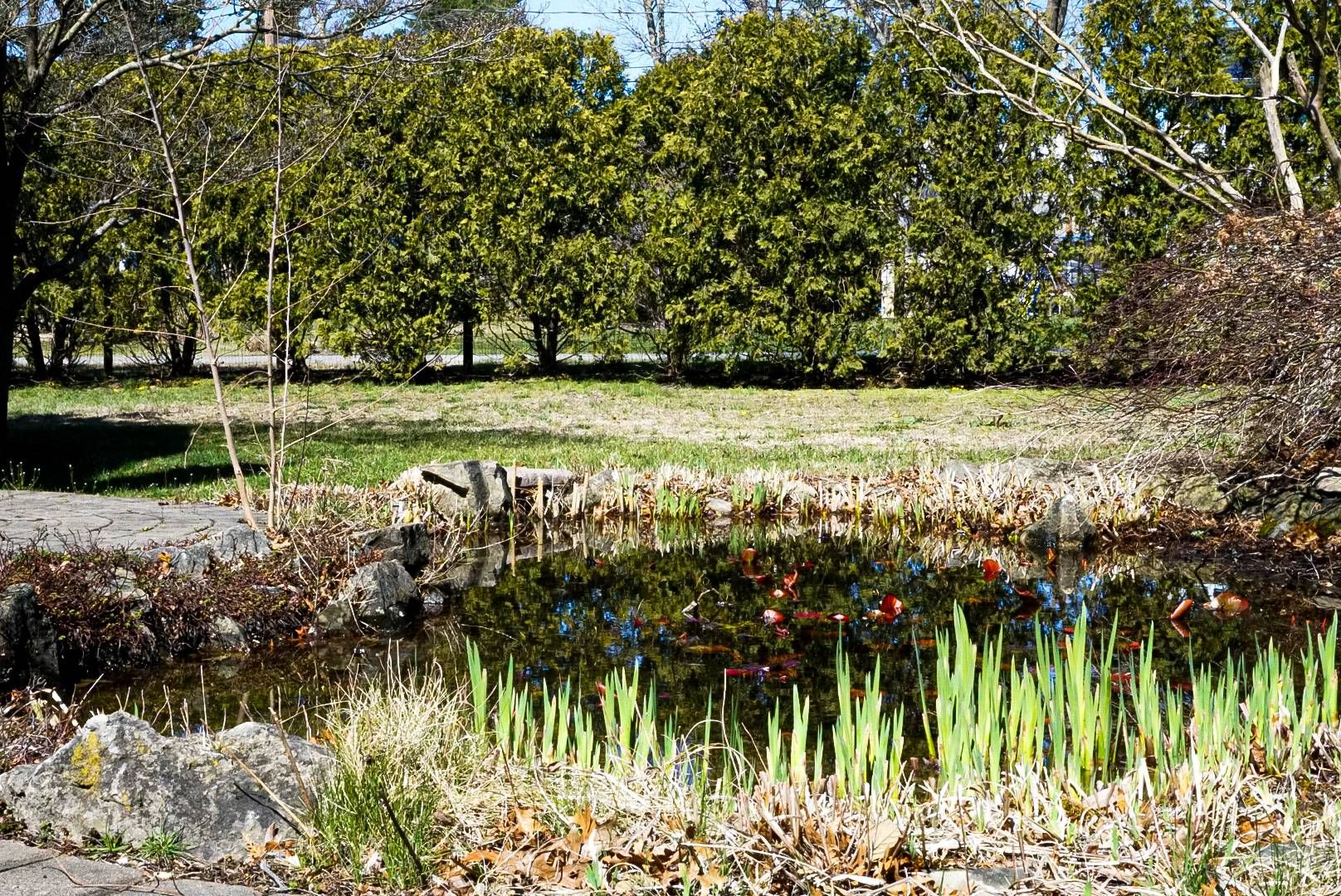 8 Ballman Ct, Riverhead, NY 11901 | Out East