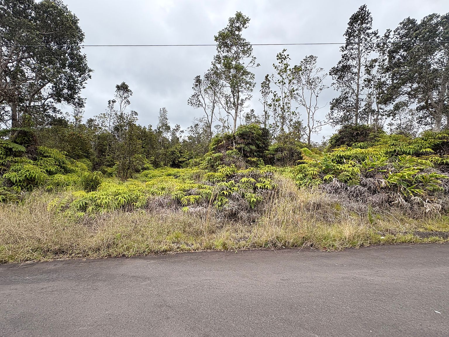1493 Volcano Rd, Volcano, HI 96785 | MLS #720858 | Zillow