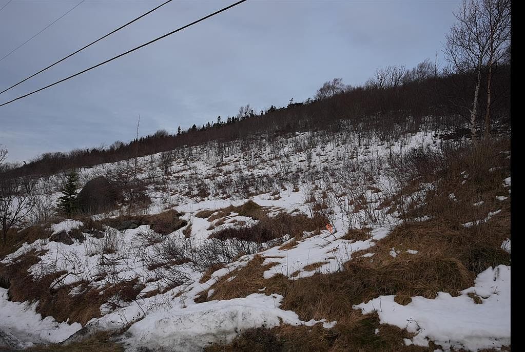 Lot 4 OLD MADDOX COVE Road, Petty Harbour Maddox Cove, NL A0A 3H0 | MLS ...