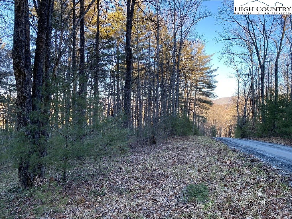 TBD (Lots 74 & 75) Forest Hill Drive, Sparta, NC 28675 | MLS #254466 ...