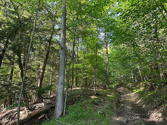Wattersonville Rd LOT WP001, Cowansville, PA 16218 | Zillow