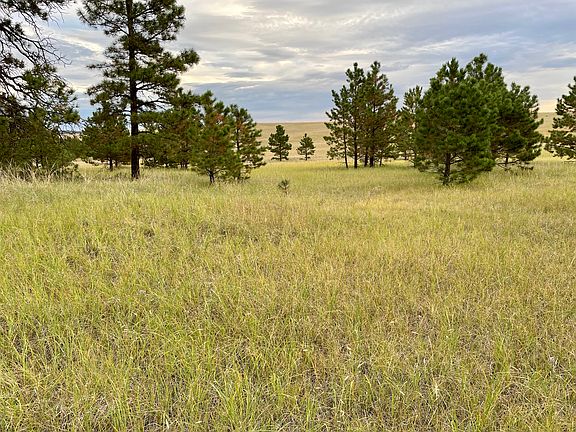 County Road 17, Elbert, CO 80106 | MLS #11107692 | Zillow
