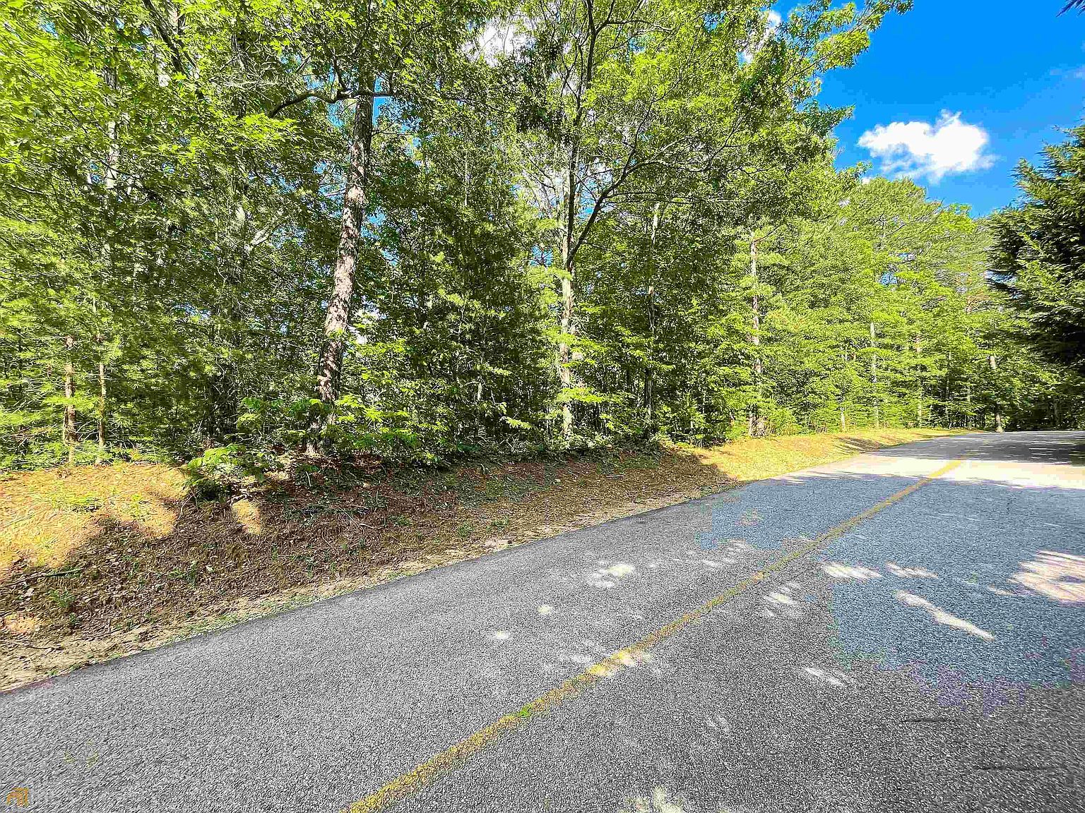 196AC Wilfar Strasse, Helen, GA 30545 | Zillow