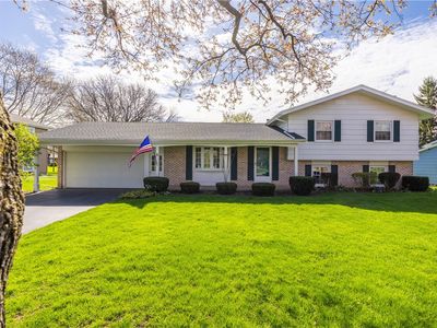 Richard Testa - NY Licensed Assoc. R.E. Broker - Real Estate Agent in ...