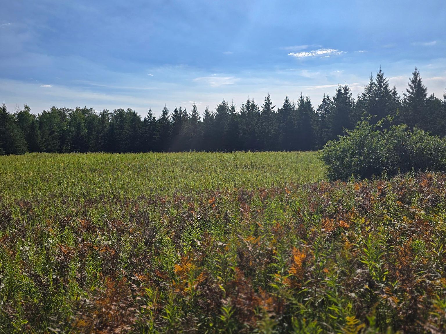 Leonard Road Soo Line Rd, Leonard, MN 56652 | MLS #6784478 | Zillow