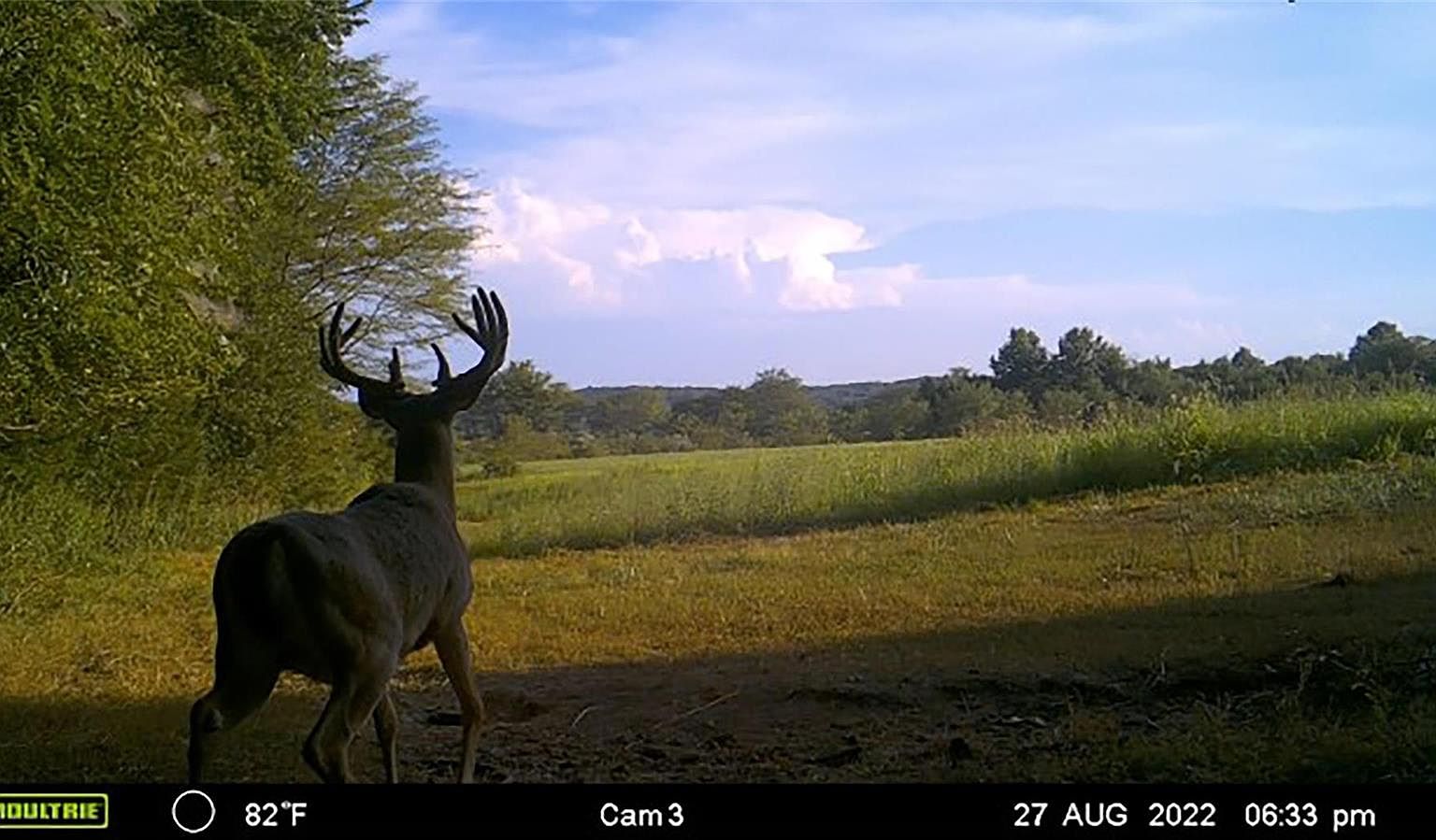 20550 Monroe Co Rd #445, Stoutsville, MO 65283 | MLS #23060418 | Zillow