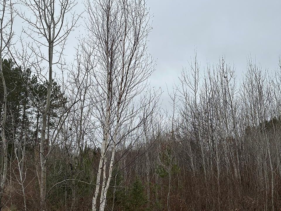 Swamp Lake Rd #4069-11, Tomahawk, WI 54487 | MLS #204749 | Zillow