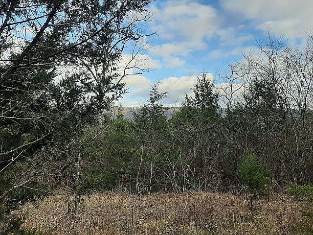 Fisher Rd #44, Rising Fawn, GA 30738 | Zillow