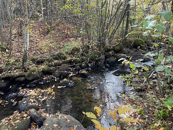 6847 VT Route 122, Sheffield, VT 05866 | Zillow