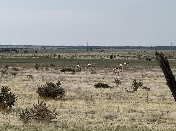 Walsenburg Real Estate - Walsenburg CO Homes For Sale | Zillow