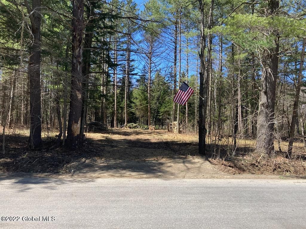 141 Elm Lake Rd Road, Speculator, NY 12164 | Zillow