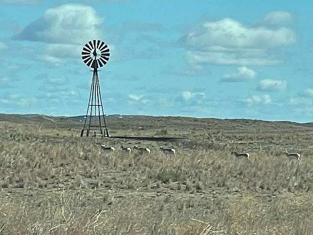 Blaine County, Brewster, NE 68821 | Zillow