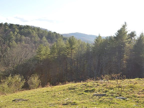 Springwood Ln, Fries, VA 24330 | Zillow