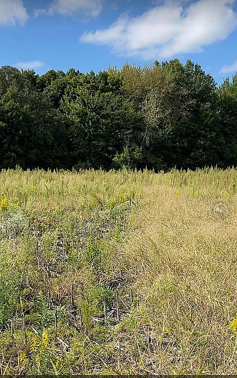 Tyler Rd, Ostrander, OH 43061 | Zillow