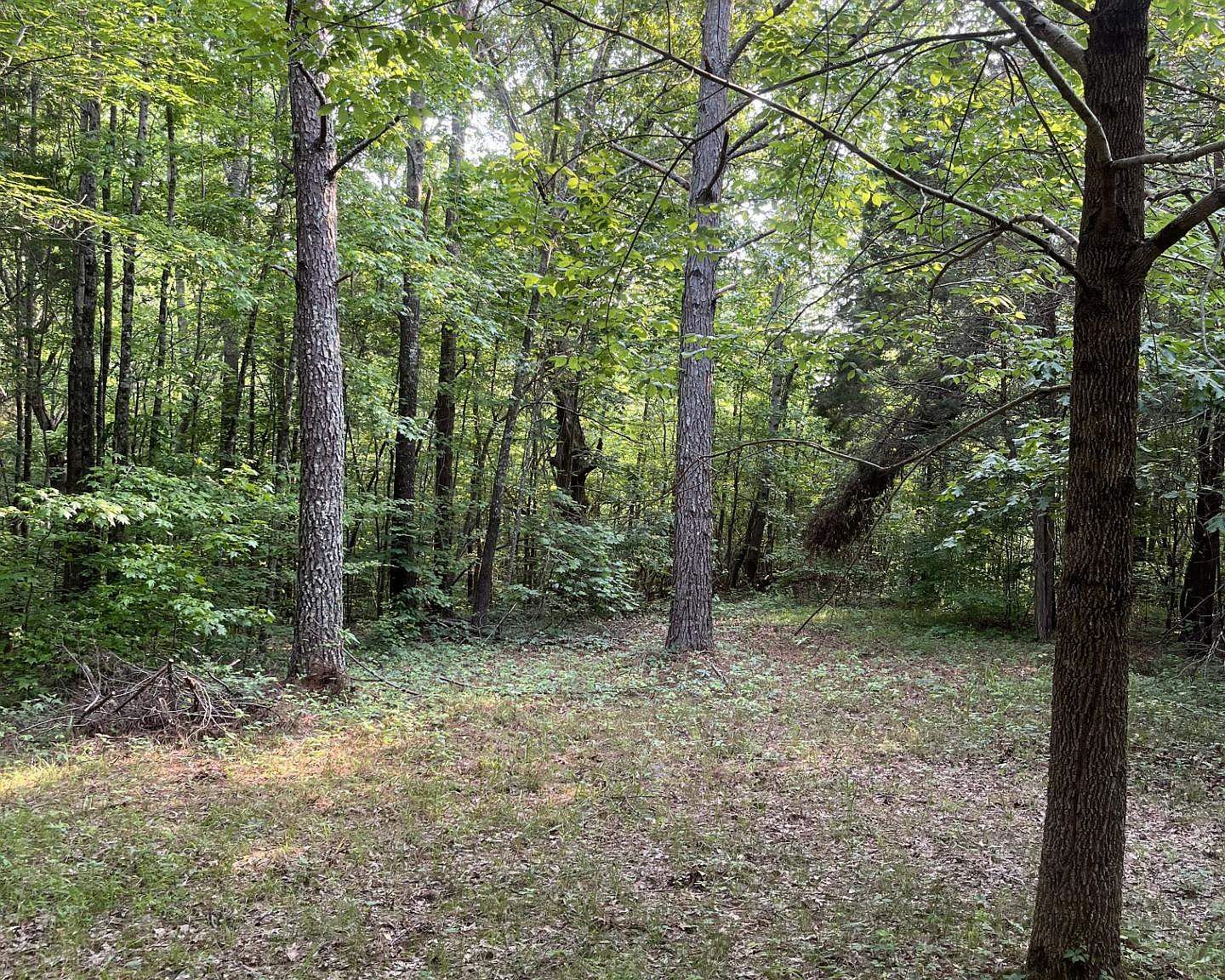 100 County Road Rd, Walnut, MS 38683 | Zillow