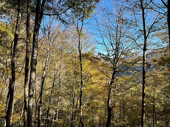 0 Turnpike Rd, Belva, WV 26656 | MLS #11260095 | Zillow