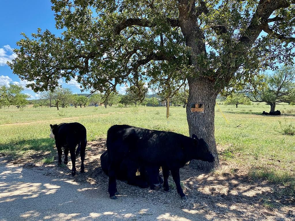 13 Jack Rabbit Rd, Doss, TX 78618 | MLS #90114 | Zillow