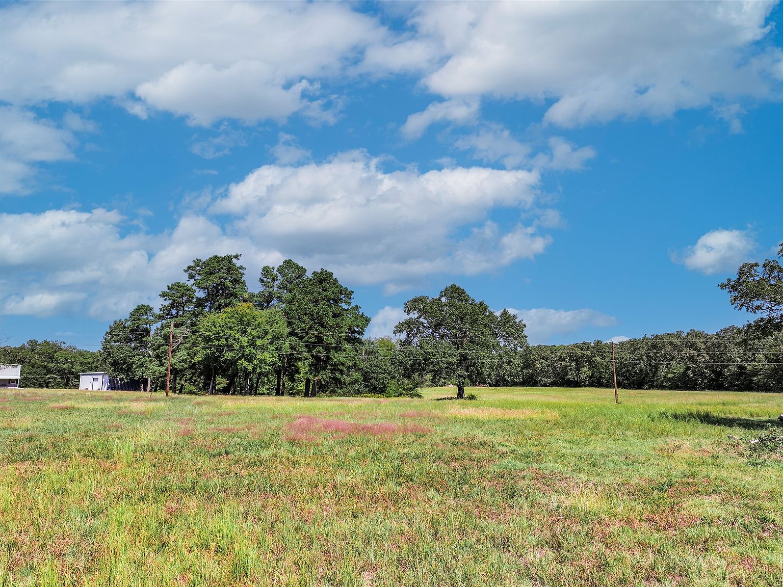 County Road 1160, Brashear, TX 75420 | MLS #20742174 | Zillow