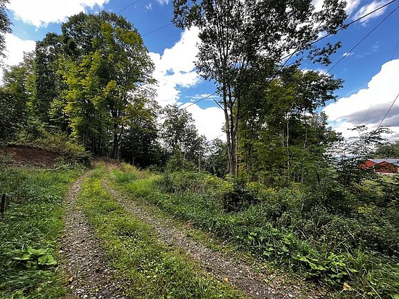Ellison Ridge Rd, Jumping Branch, WV 25969 | Zillow