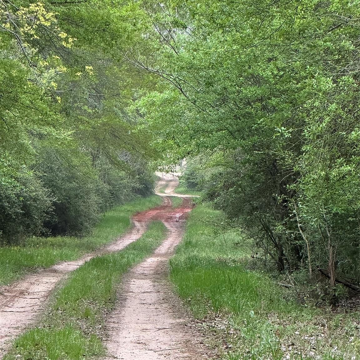 Private Road 3591, Gause, TX 77857 | MLS #32249794 | Zillow
