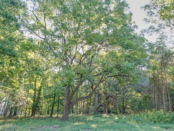 LOT 3 Holly Bluff Dr, Franktown, VA 23354 | Zillow