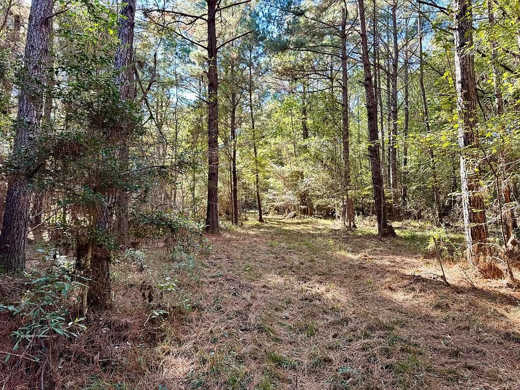 R04376 County Road 4392, Spurger, TX 77660 | MLS #5102718 | Zillow