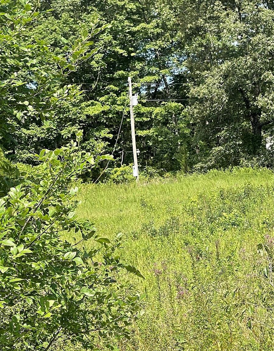 0 Hc 1 BOX 1971, Silva, MO 63964 | Zillow