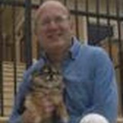 Michael Lissack - Real Estate Agent in Naples, FL - Reviews | Zillow